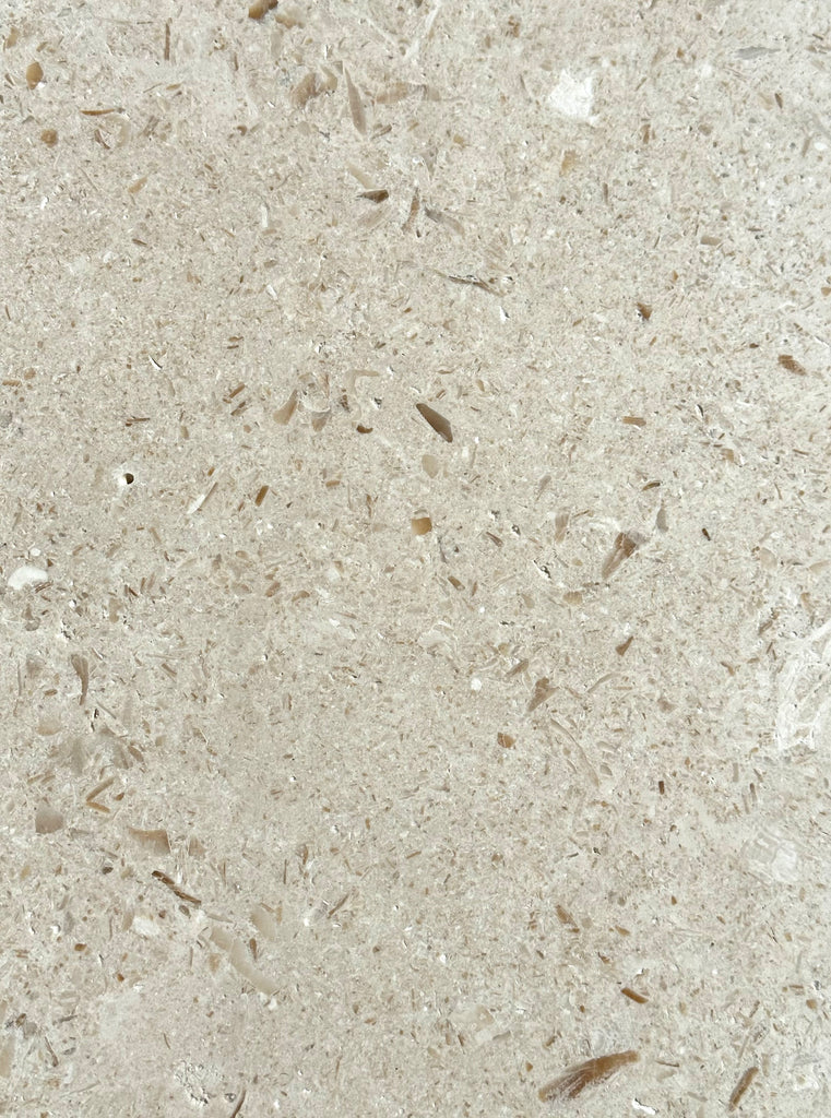 Shell Stone Limestone – Ontario Pool Tile