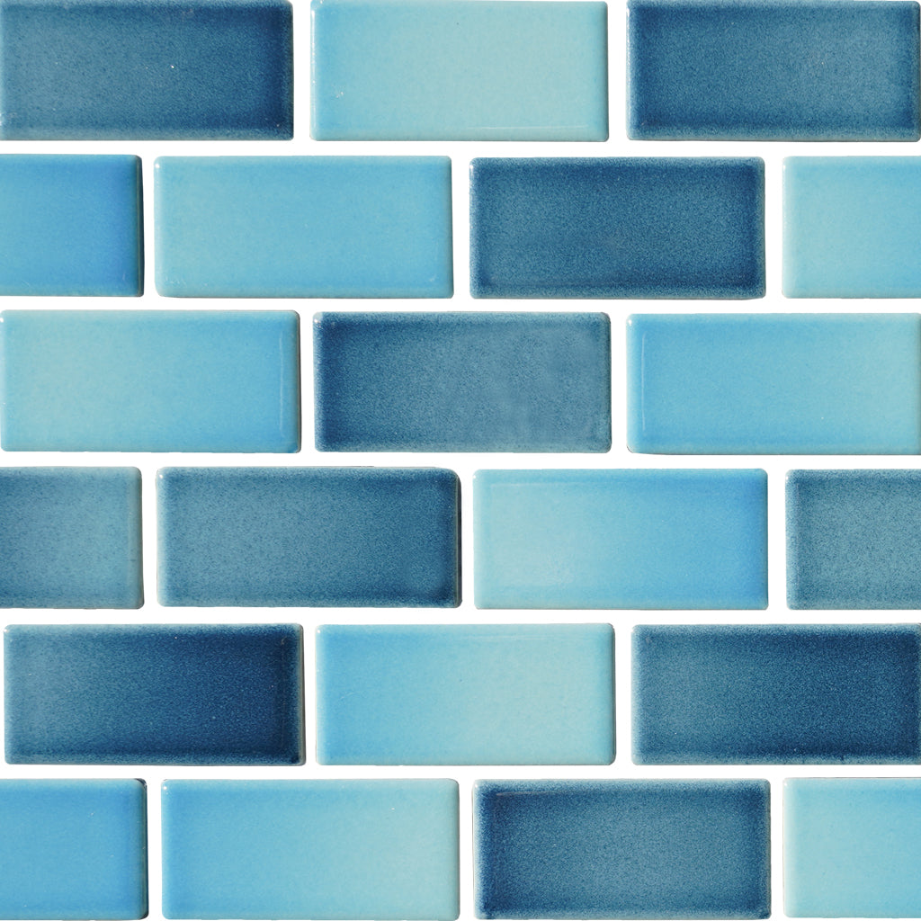 Lakes Aqua Cool 1x2 (Group 4) – Ontario Pool Tile