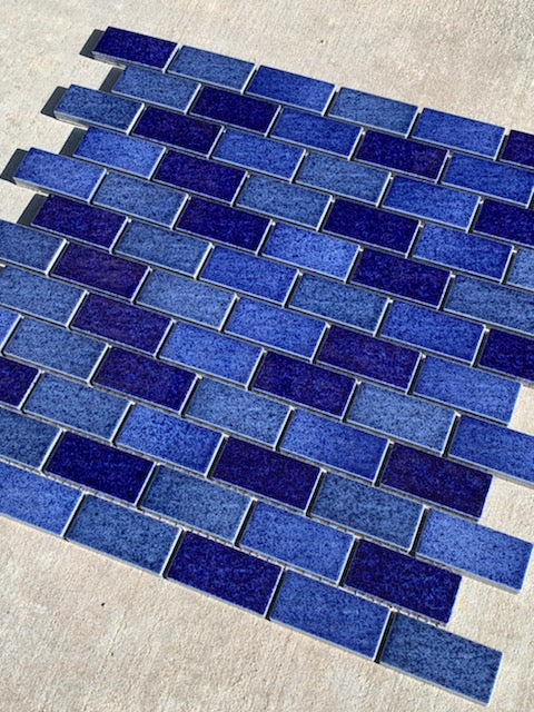 Tropical Ocean Blue 1x2 (Group 4) – Ontario Pool Tile
