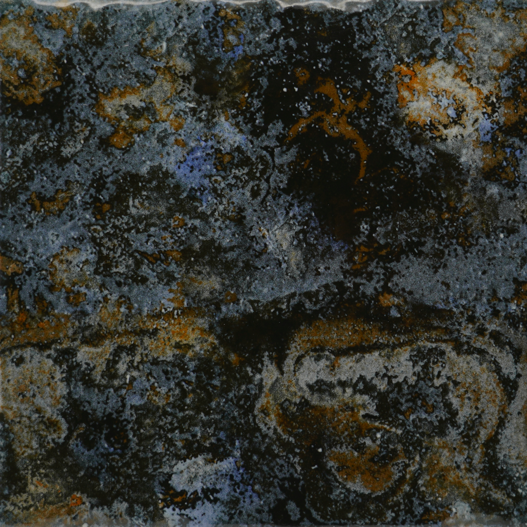 Shells Black (Group 3) – Ontario Pool Tile