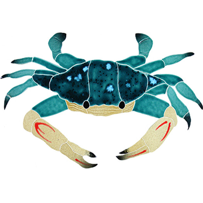 Crab, Blue Swimmer – Ontario Pool Tile