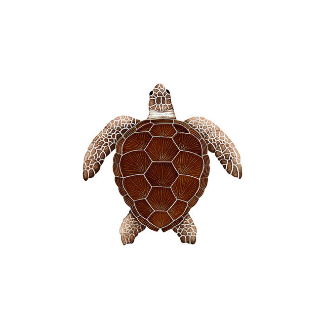 Loggerhead Brown Turtle Small – Ontario Pool Tile